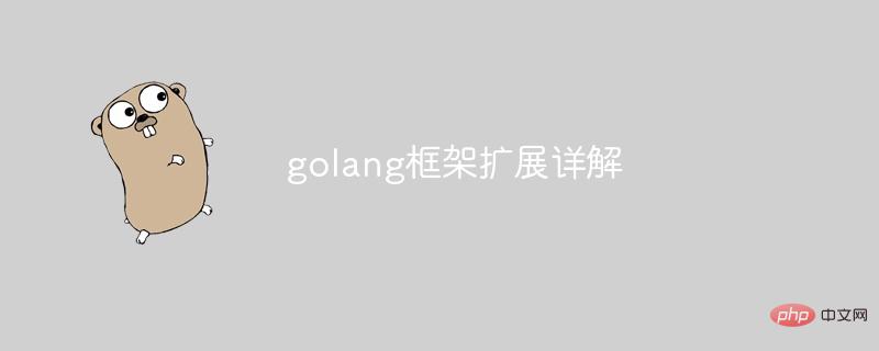 Detailed Explanation Of Golang Framework Extension Golang Php Cn