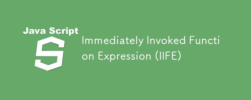 Immediately Invoked Function Expression IIFE JS Tutorial Php Cn