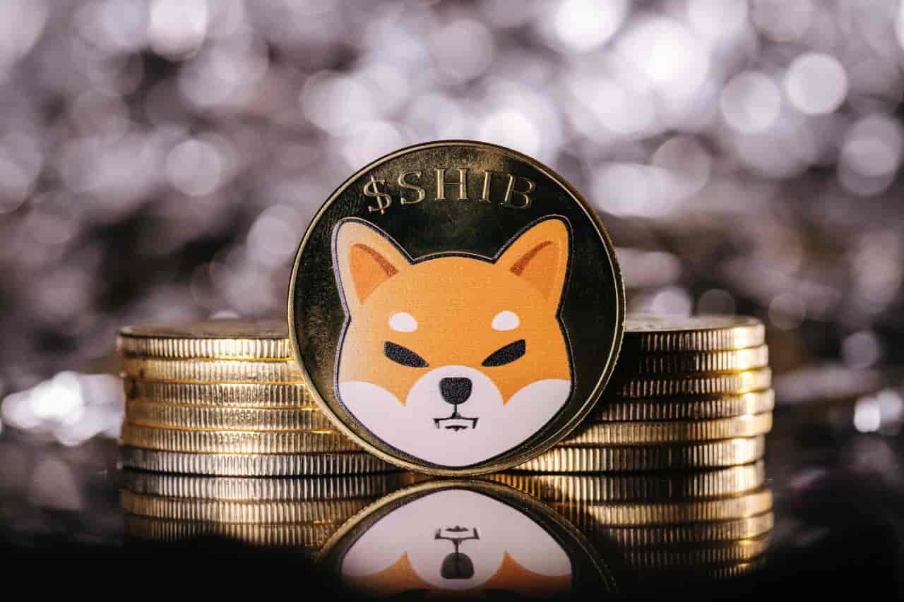 Shiba Inu SHIB Price Prediction For September Will The MEME Coin