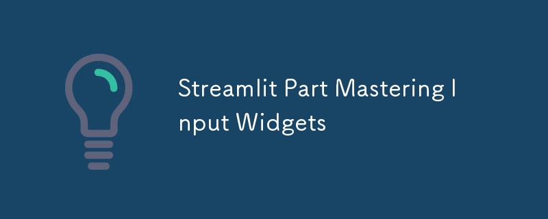 Streamlit Part Mastering Input Widgets Python Tutorial Php Cn