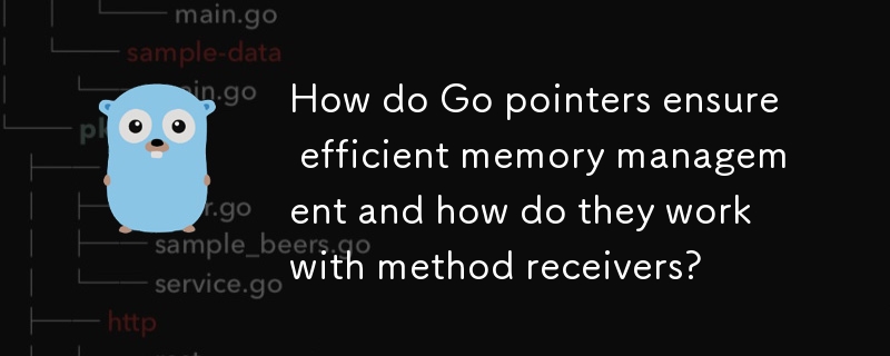 How Do Go Pointers Ensure Efficient Memory Management And How Do They