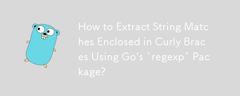 如何使用 Go 的 regexp 套件提取大括號內的字串匹配 Golang PHP中文網