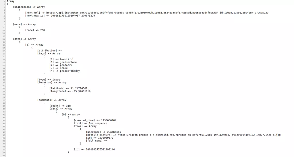 Conquering Instagram With PHP And The Instagram API PHP Tutorial Php Cn