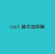 What Is A Css Selector 5 Common Basic Selectors In Css3 Code Examples