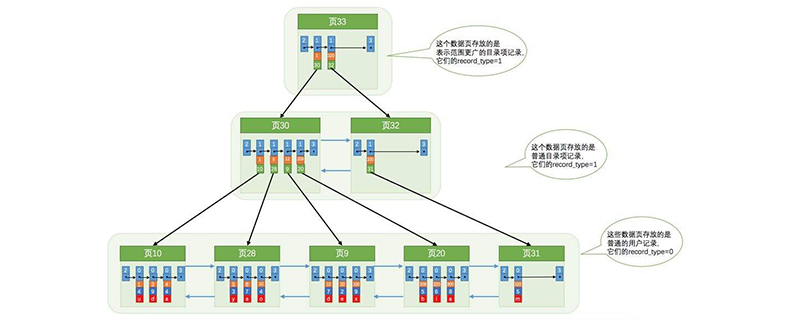 Mysql Mysql Php