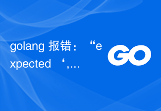 Golang Error Expected Or But Got How To Solve It Golang Php Cn