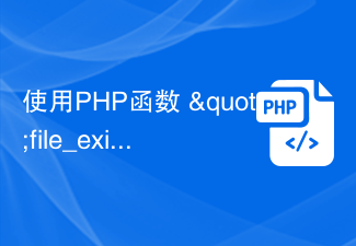 Use The PHP Function File Exists To Check If The File Exists PHP