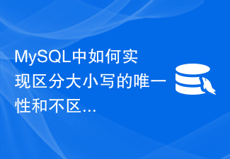 How To Implement Case Sensitive Uniqueness And Case Insensitive Search