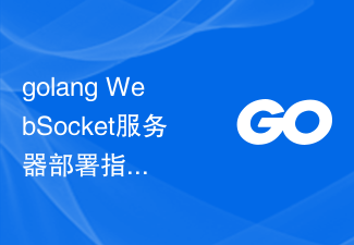 Golang WebSocket Server Deployment Guide Achieving High Availability