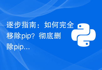 Step By Step Guide How To Remove Pip Completely Steps To Completely