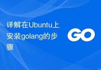 Detailed Explanation Of The Steps To Install Golang On Ubuntu Golang Php Cn
