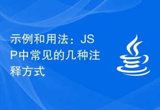 Examples And Usage Several Common Annotation Methods In JSP