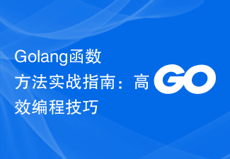 Golang函數方法實戰指南高效程式設計技巧 Golang PHP中文網