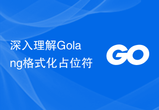 In Depth Understanding Of Golang Formatting Placeholders Golang Php Cn