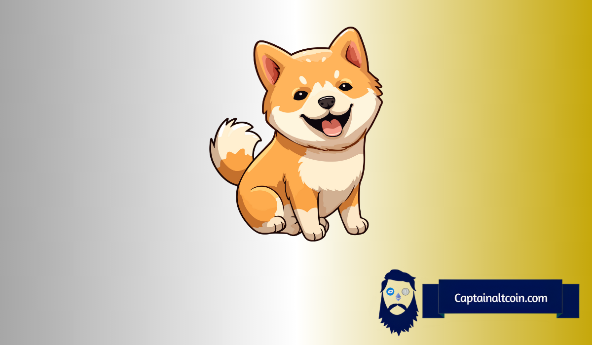 YouTube Analyst Makes Urgent Shiba Inu SHIB Price Prediction Meme