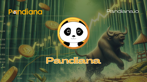 Pandiana Raises 500k Pre Seed Funding To Integrate Playful Meme