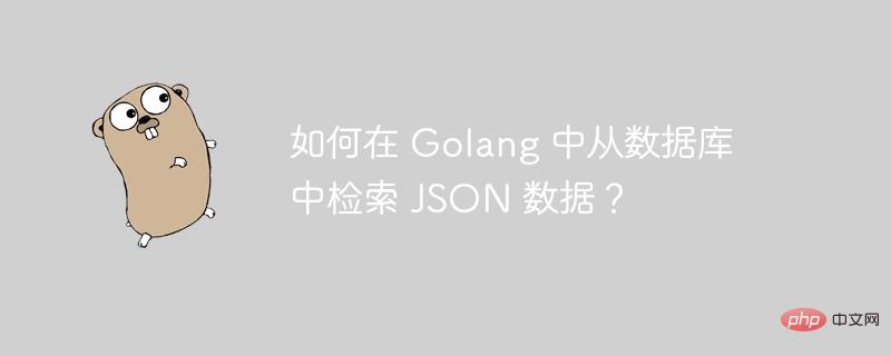 如何在 Golang 中從資料庫檢索 Json 資料? Golang Php中文網