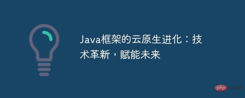 Cloud-native evolution of Java framework: technological innovation, empowering the future ...