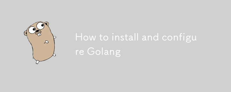 How to install and configure Golang-Golang-php.cn