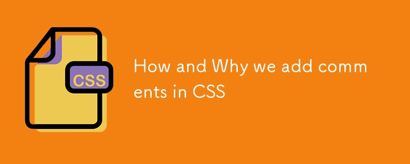 How and Why we add comments in CSS-CSS Tutorial-php.cn
