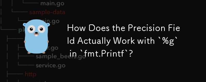 How Does The Precision Field Actually Work With ` G` In `fmt Printf