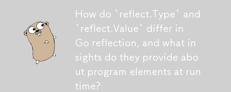 How do `reflect.Type` and `reflect.Value` differ in Go reflection, and what insights do they ...