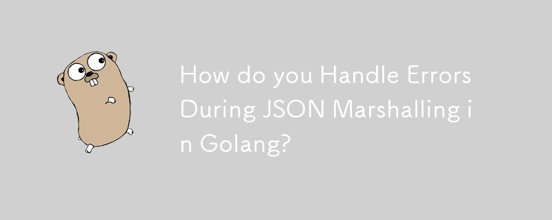 在 Golang 中如何處理 JSON 編組期間的錯誤？-Golang-PHP中文網