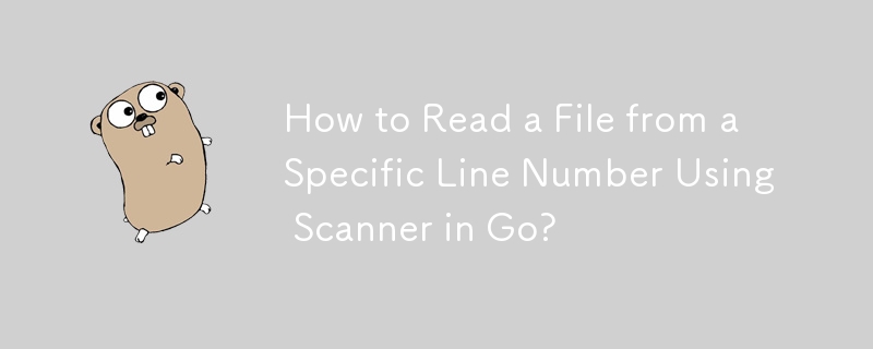 How to Read a File from a Specific Line Number Using Scanner in Go?-Golang-php.cn
