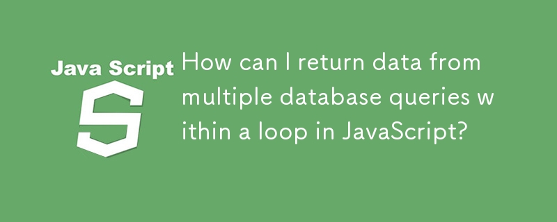 How Can I Return Data From Multiple Database Queries Within A Loop In Javascript Js Tutorial Phpcn 0747