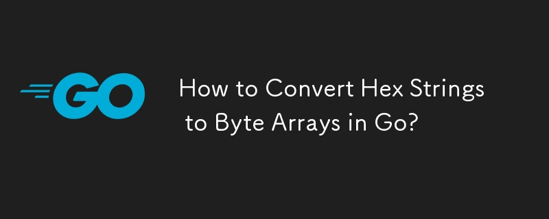 How to Convert Hex Strings to Byte Arrays in Go?-Golang-php.cn