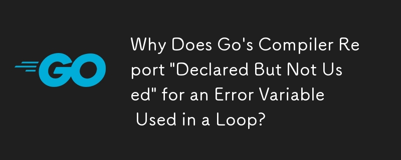 Why Does Go's Compiler Report 'Declared But Not Used' for an Error Variable Used in a Loop ...