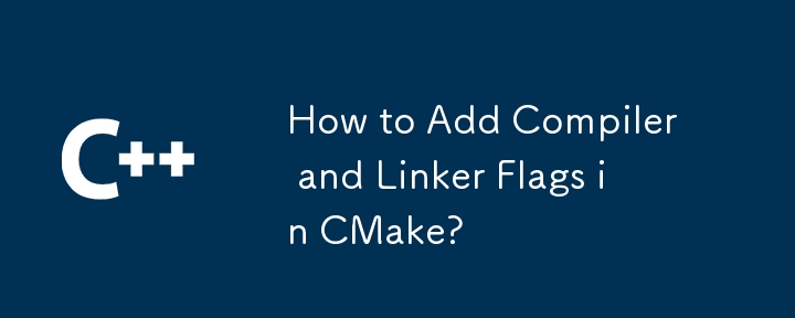 How to Add Compiler and Linker Flags in CMake?-C++-php.cn