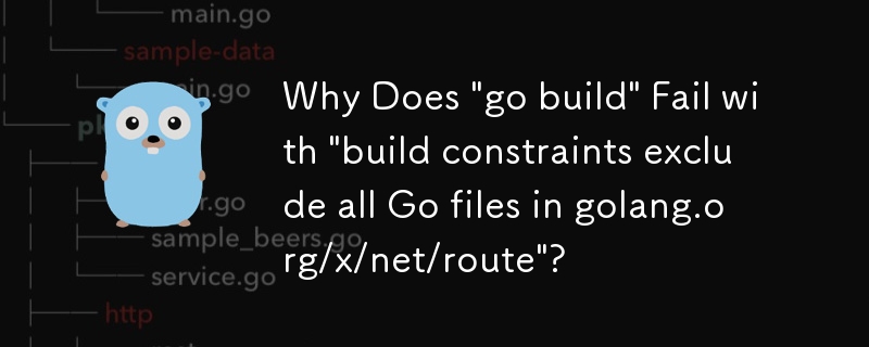 Why Does 'go build' Fail with 'build constraints exclude all Go files in golang.org/x/net/route ...