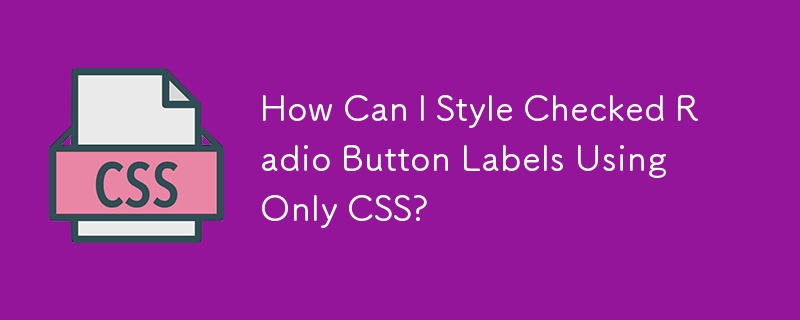 How Can I Style Checked Radio Button Labels Using Only CSS?-CSS ...