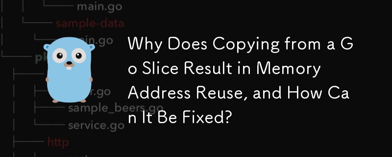Why Does Copying from a Go Slice Result in Memory Address Reuse, and How Can It Be Fixed?-Golang ...