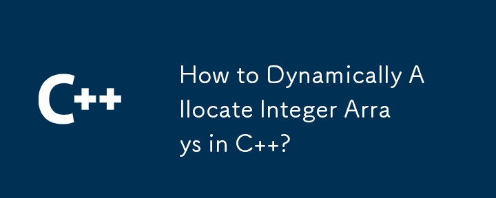 How to Dynamically Allocate Integer Arrays in C ?-C++-php.cn