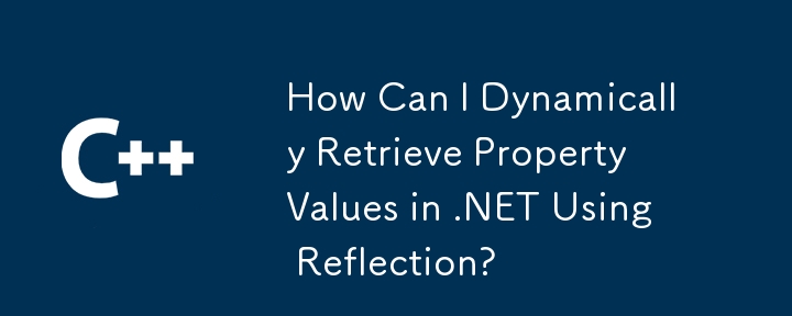 How Can I Dynamically Retrieve Property Values in .NET Using Reflection?-C++-php.cn