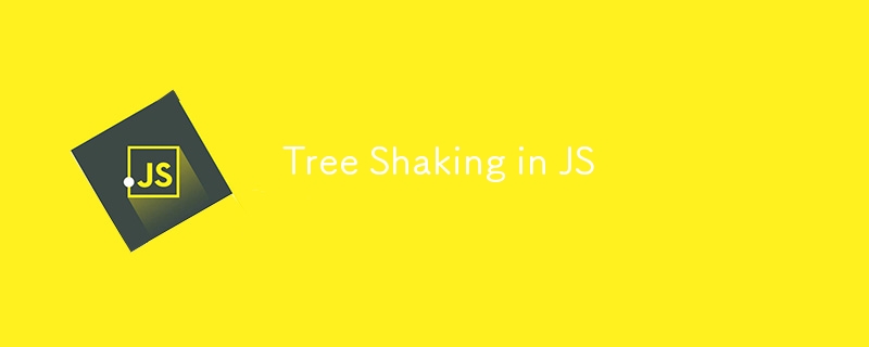Tree Shaking In Js Js Tutorial Phpcn