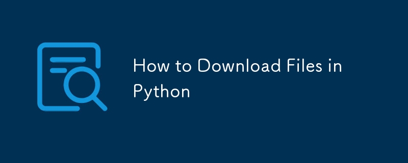 How to Download Files in Python-Python Tutorial-php.cn