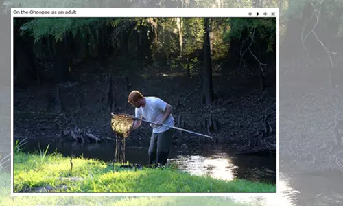 jQuery Lightbox vs colorbox vs fancybox vs厚箱 - 關鍵差異是什麼？-js教程-PHP中文網