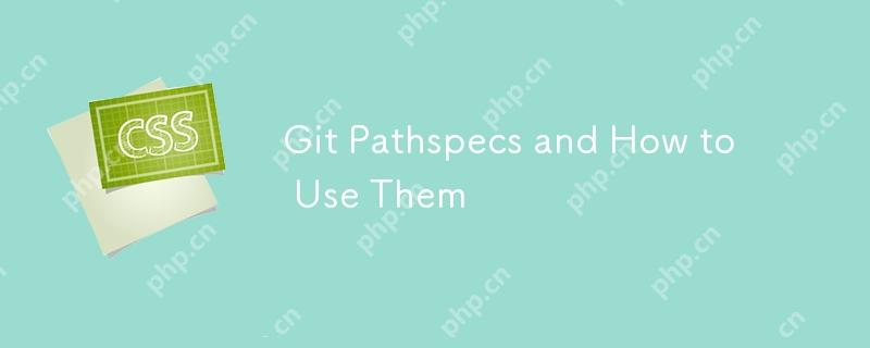 git Pathspecs以及如何使用它們-css教學-PHP中文網