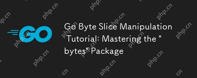 Go Byte Slice操縱教程：掌握'字節”軟件包-Golang-PHP中文網