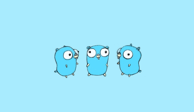 What is the options pattern in golang for configuration-Golang-php.cn