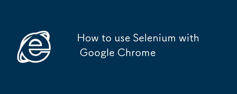 How to use Selenium with Google Chrome-Browser-php.cn