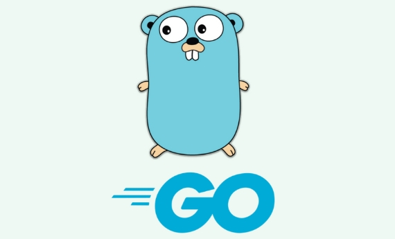 Go API Gateway Security Best Practices-Golang-php.cn