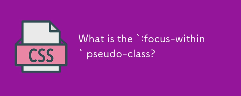 What is the `:focus-within` pseudo-class?-CSS Tutorial-php.cn