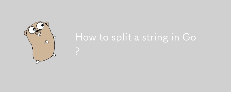 How to split a string in Go?-Golang-php.cn