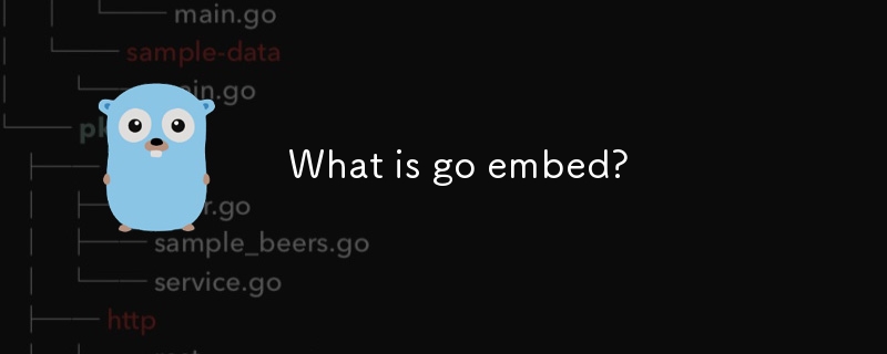 What is go embed?-Golang-php.cn