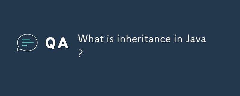 What is inheritance in Java?-javaTutorial-php.cn