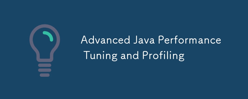 Advanced Java Performance Tuning And Profiling-javatutorial-php.cn